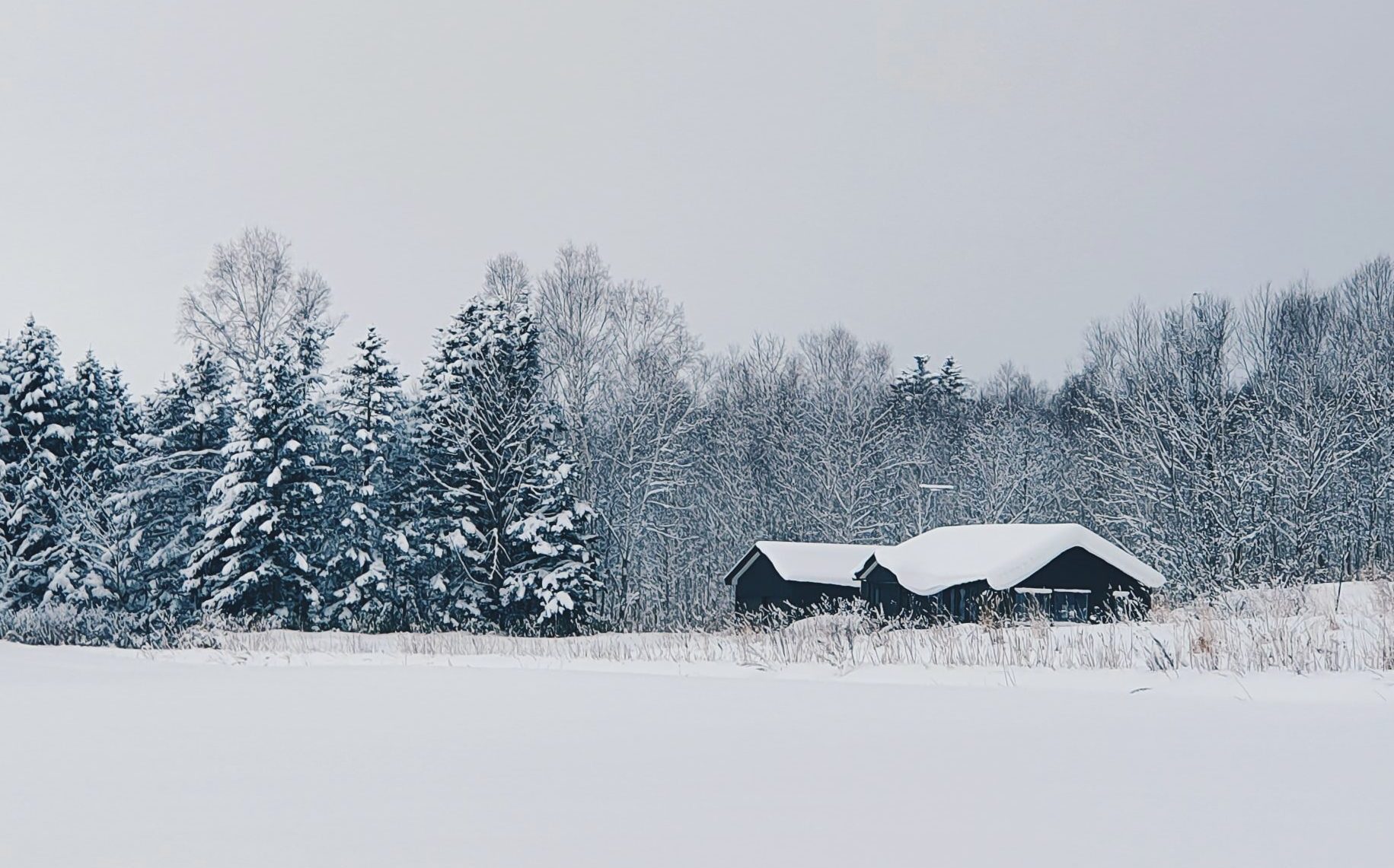 Snowiest Places in the USA - Blevins Creative Group, Inc.